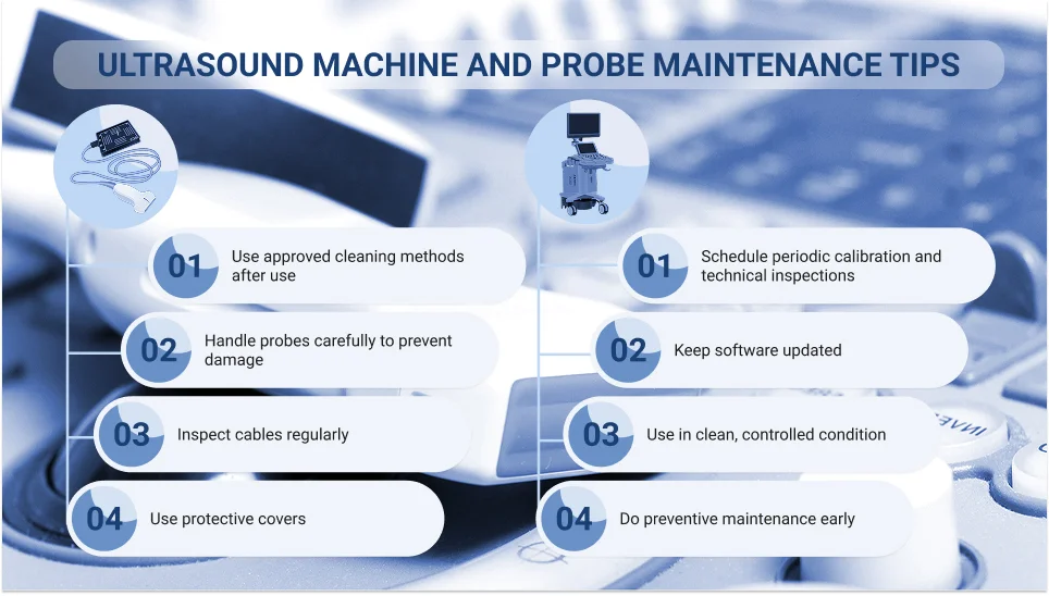 Elzhen: Your Ultrasound and Probe Maintenance Partner